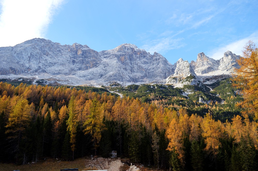 Una facile escursione trekking alle sorgenti del Maè a Pecol, ammirando ...
