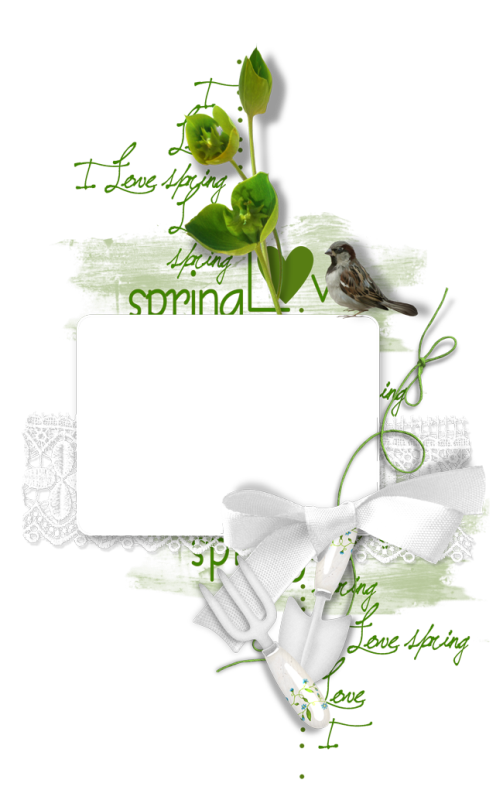 ForgetMeNot: Cluster spring frames