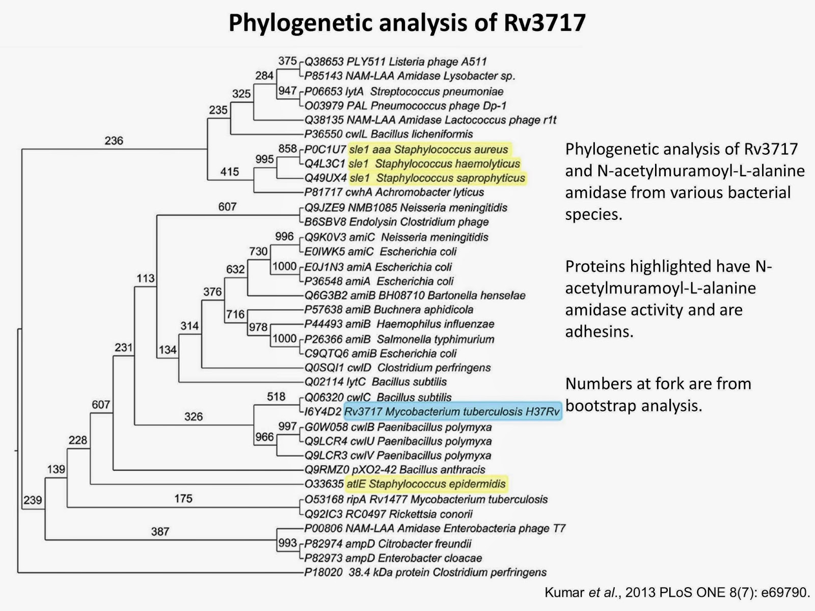 Bioinformatics Tools Functional Annotation Of Hypothetical Proteins
