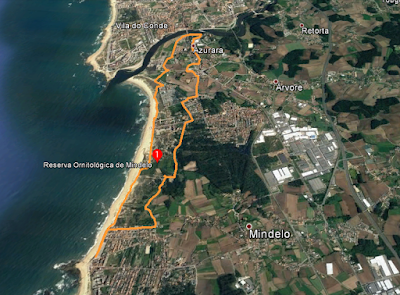 BikeRide e Caminhadas: ROTA da RESERVA ORNITOLÓGICA de MINDELO