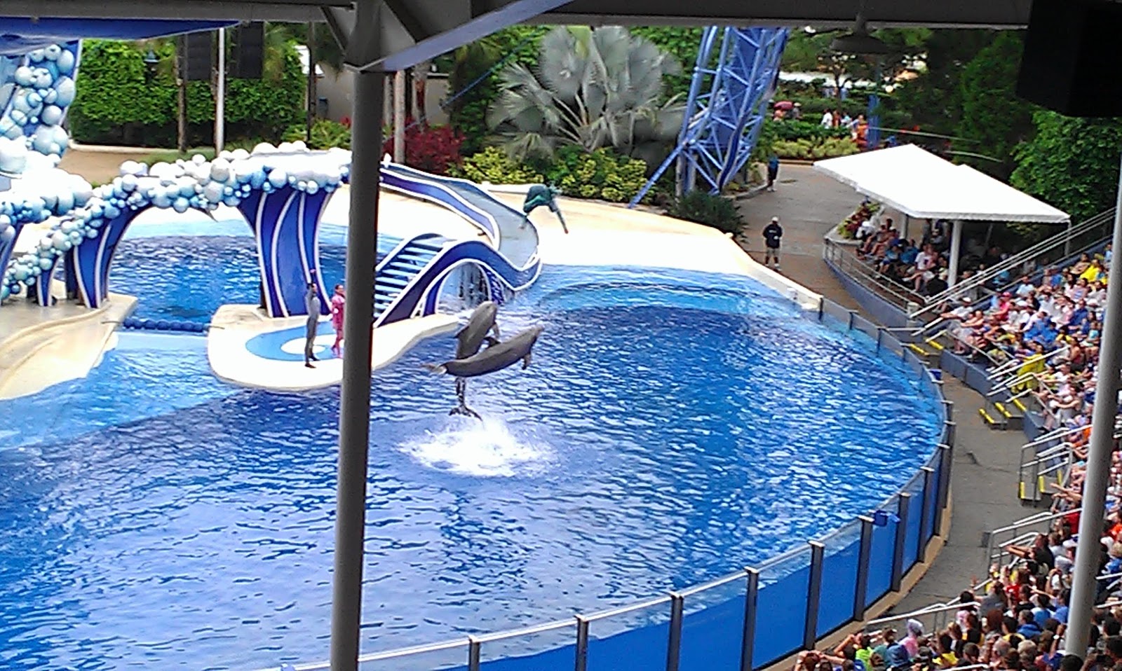 This and that: kids, diy and good times.: Sea World Surprise