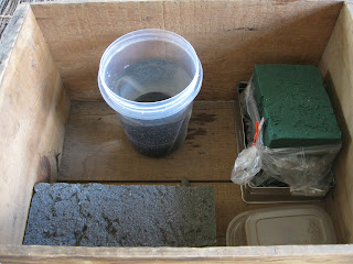 flower flinging: When pot meets fleur