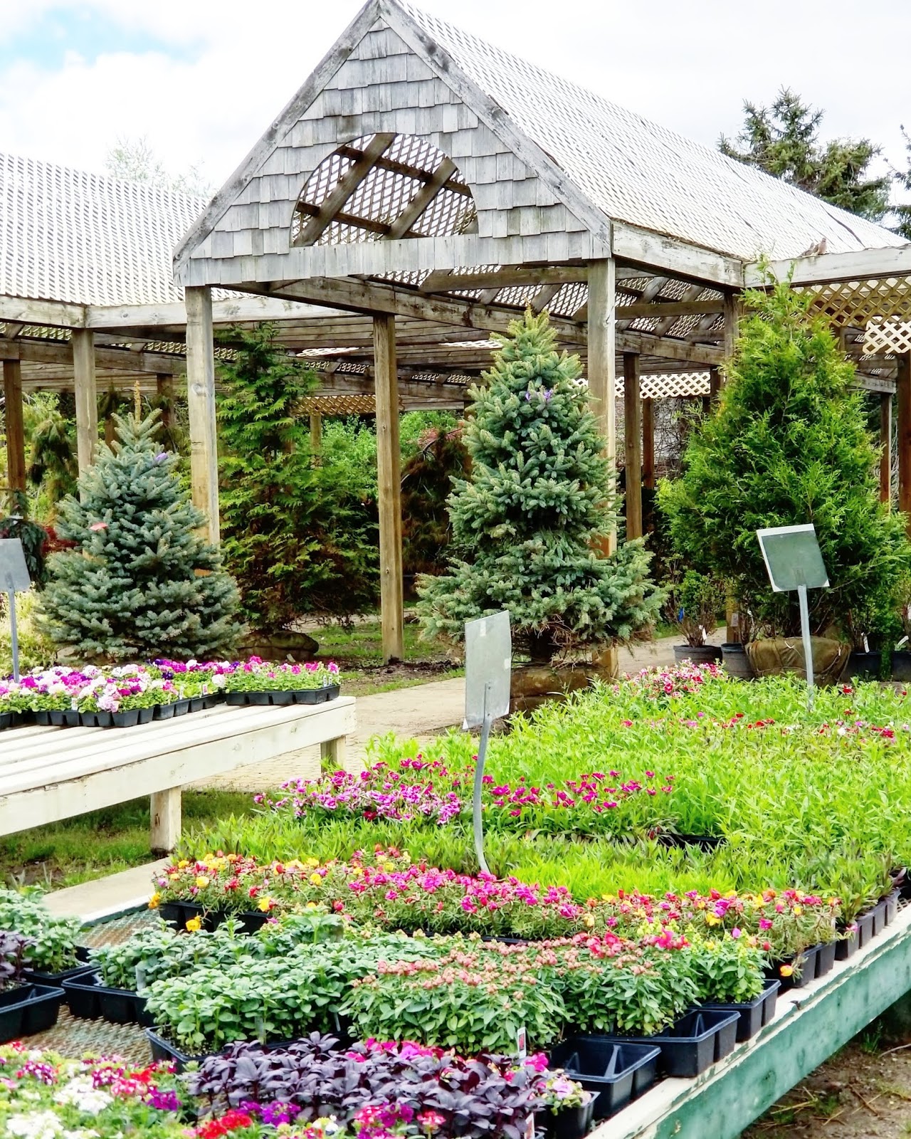 The Quaint Sanctuary: { Spring Garden Nursery Tour }
