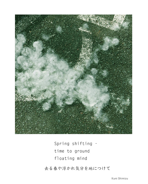 see haiku here 2: Shifting spring