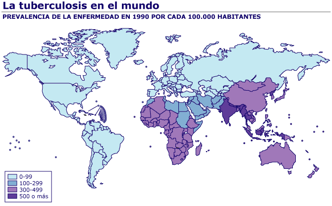 BACTERIOLOGÍA CLINICA: TUBERCULOSIS