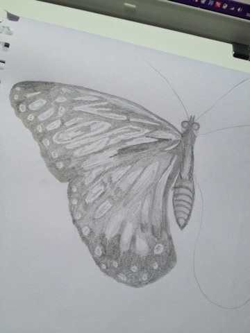 Laura Davis' Textiles