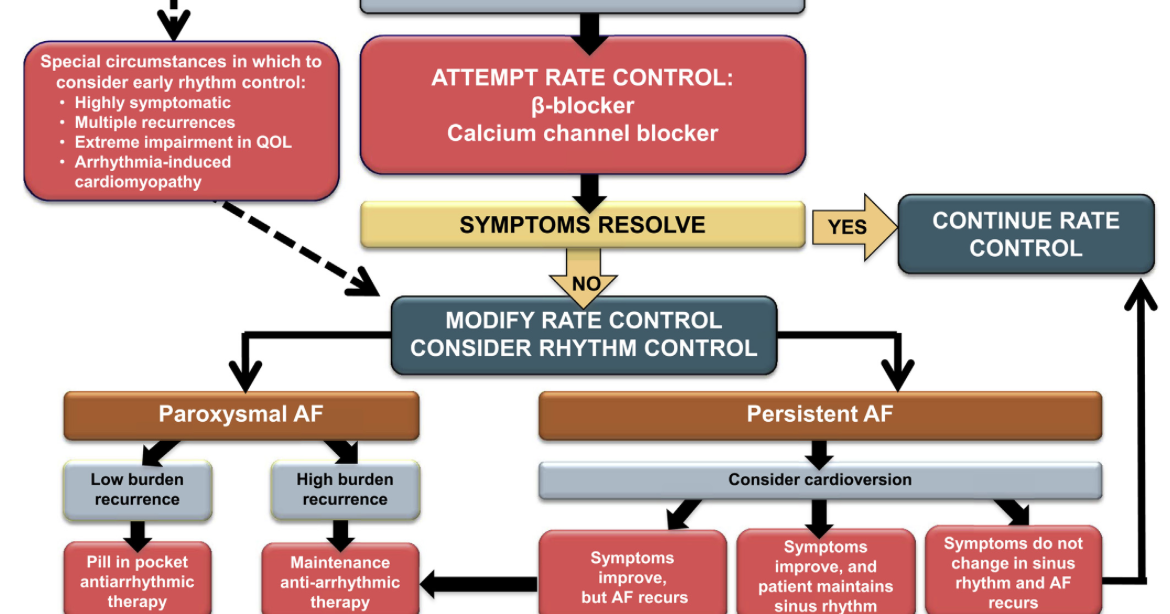 Dr Han Naung @ Henry Han : Electrophysiology and Heart Rhythm : AF ...