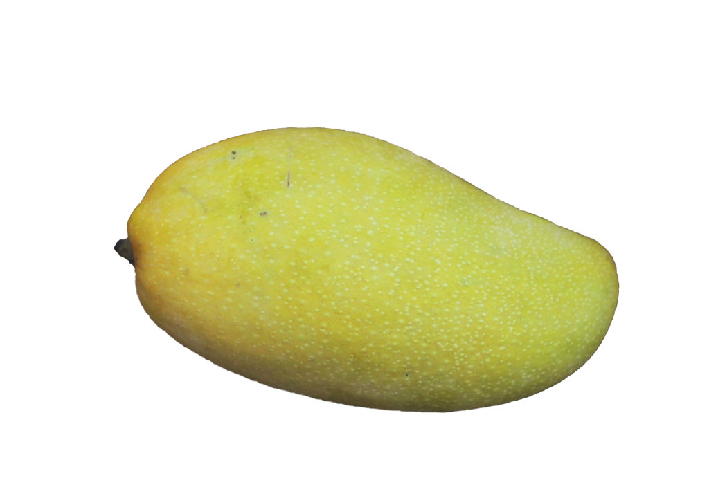 金煌│ジンファン（キンコウ）マンゴー | 日本で作れる台湾料理