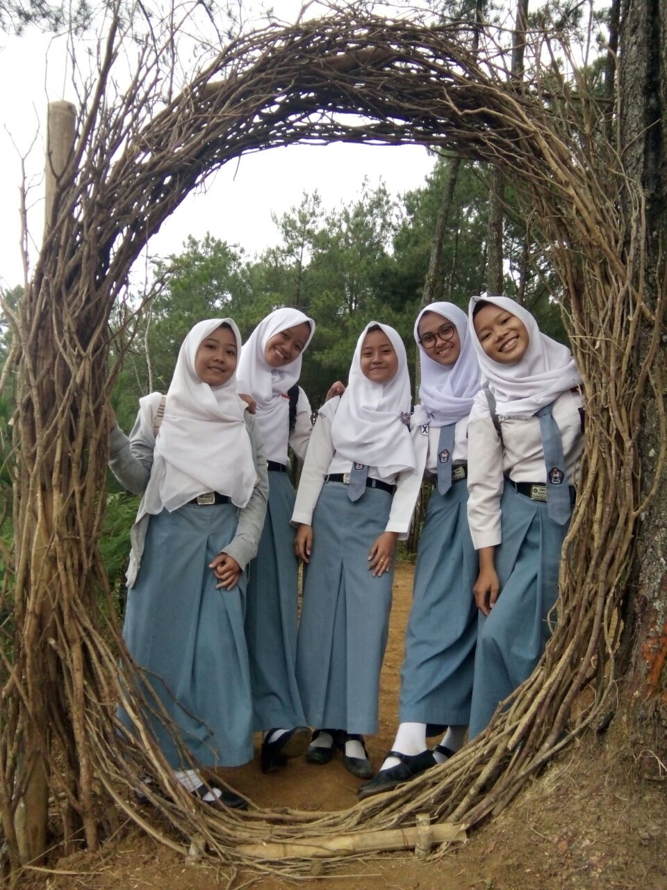 Hutan Pinus Kalilo Kaligesing, Wisata Asri di Kota Purworejo ~ Madu Gunung