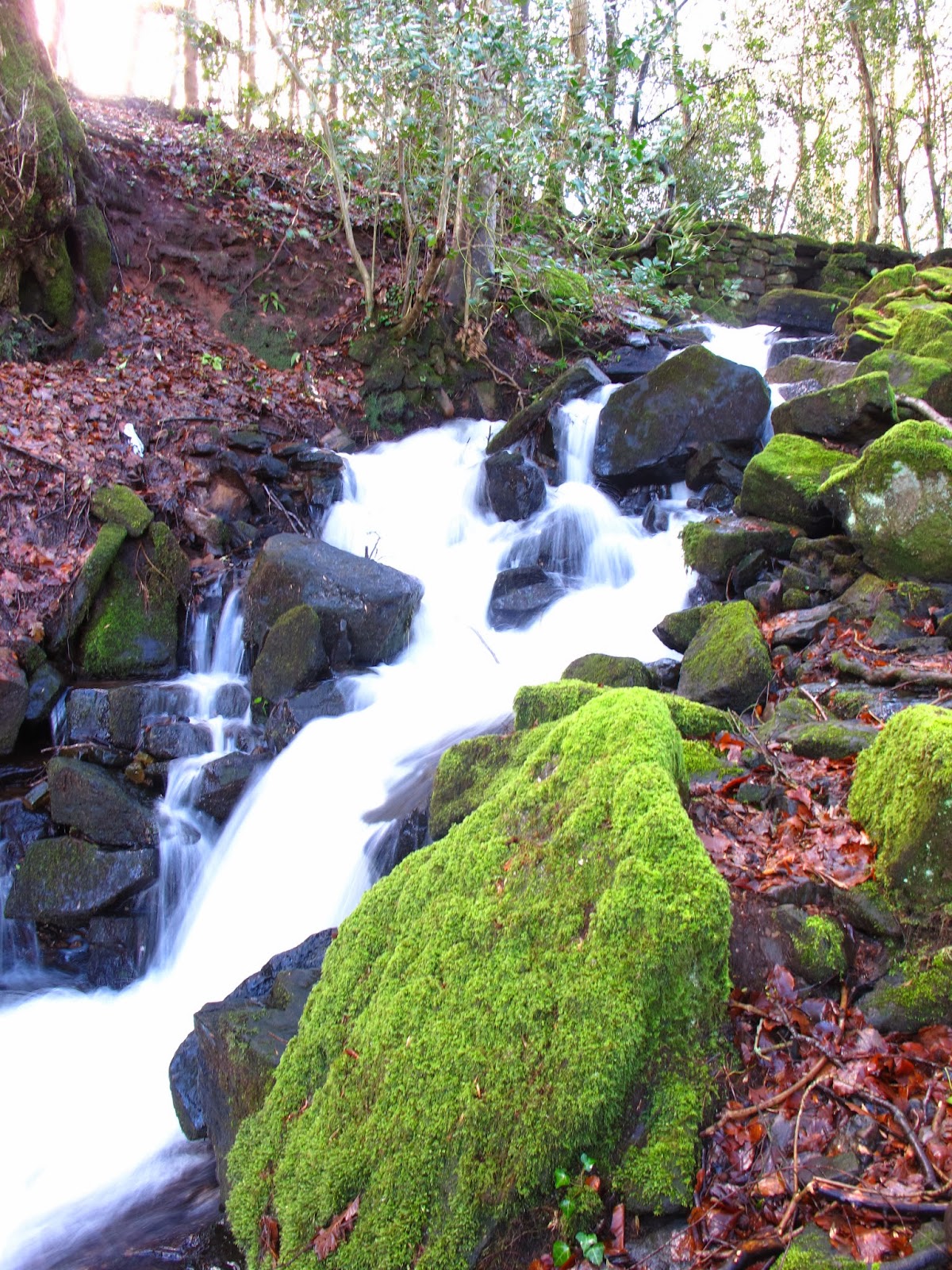 Places: Cleddon Falls - February 2014