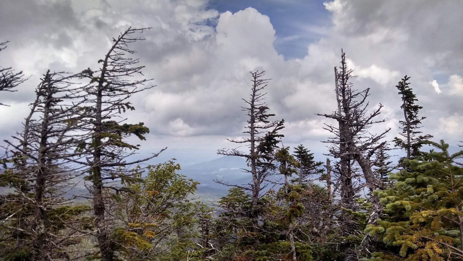 Off on Adventure: Sentinel Mountain (3838') - Sentinel Range Wilderness ...