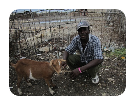 Bringing a Haven of Hope to Haiti: Goats for Jubilee...