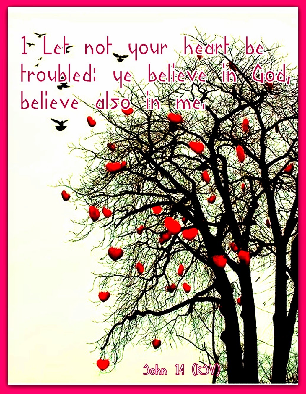 Red Pill Diaries: John 14 (KJV)