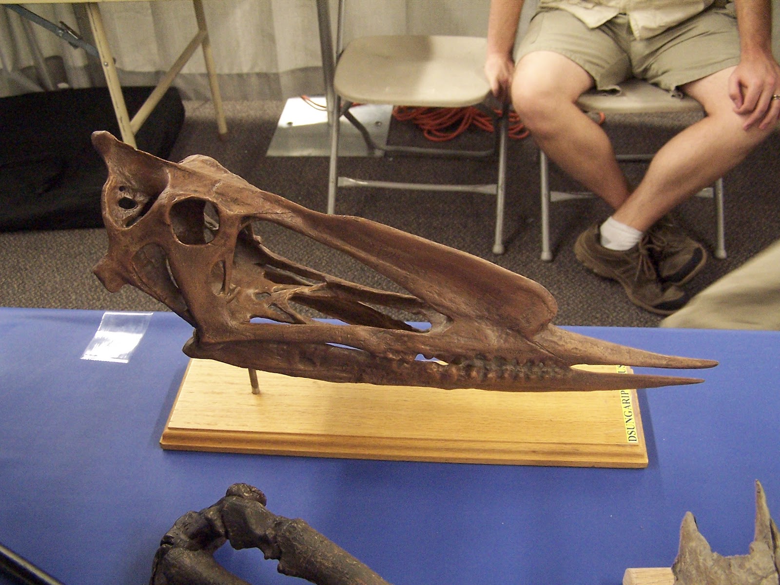 The Natural World: The Denver Gem and Mineral Show Part 1: Giant ...