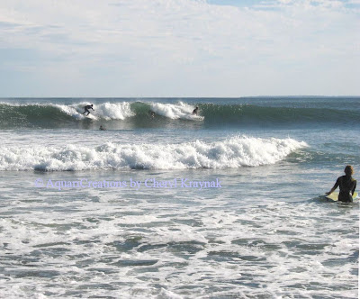 Windswept at the Beach: It was a Surf's Up! Sunday at Point Judith ...