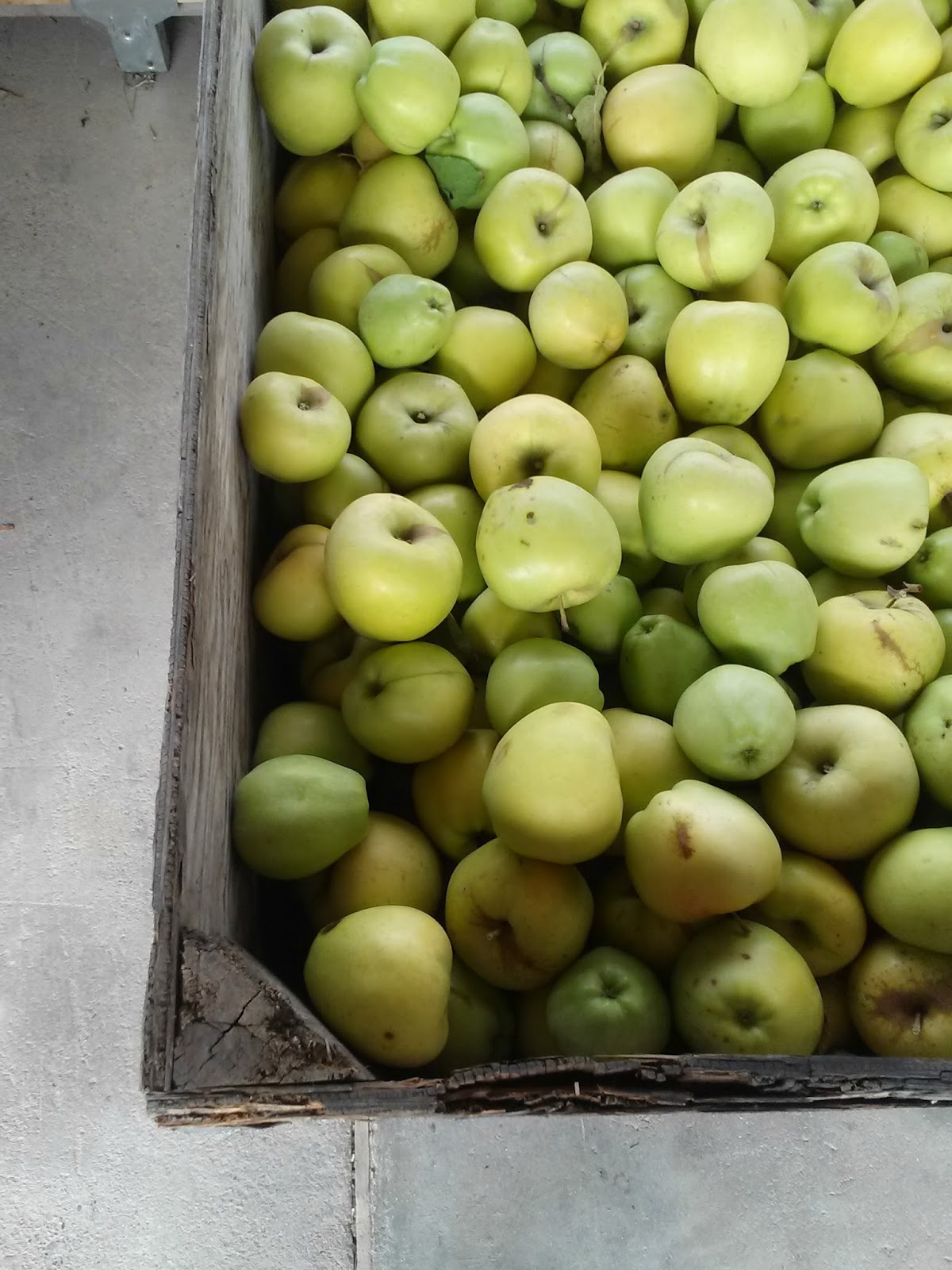 Apple Chili - The Wicker House