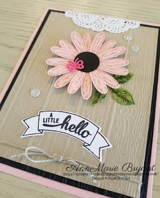 AnnMarie's Stamping Adventures!!: A little hello!