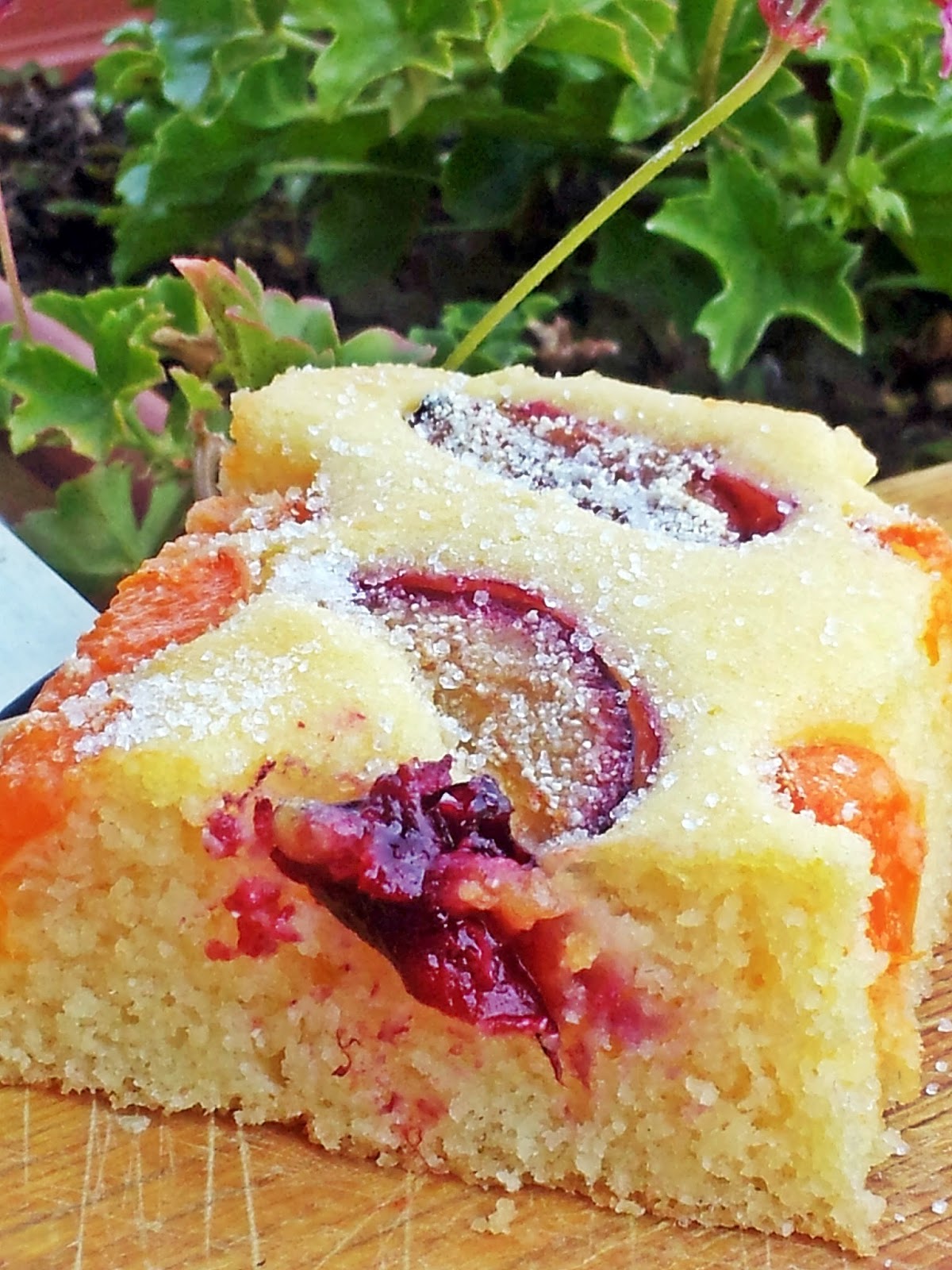 Csak, mert szeretem... kreatív gasztroblog: GRÍZES PITE BARACKKAL ÉS ...