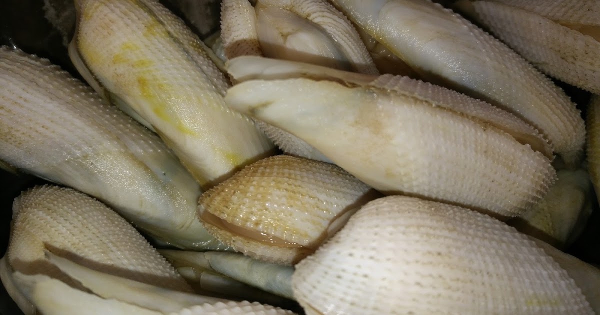 PERAH DAN MENTARANG - PERJALANAN CAMERON HIGHLANDS MENYUSUR PANTAI ...