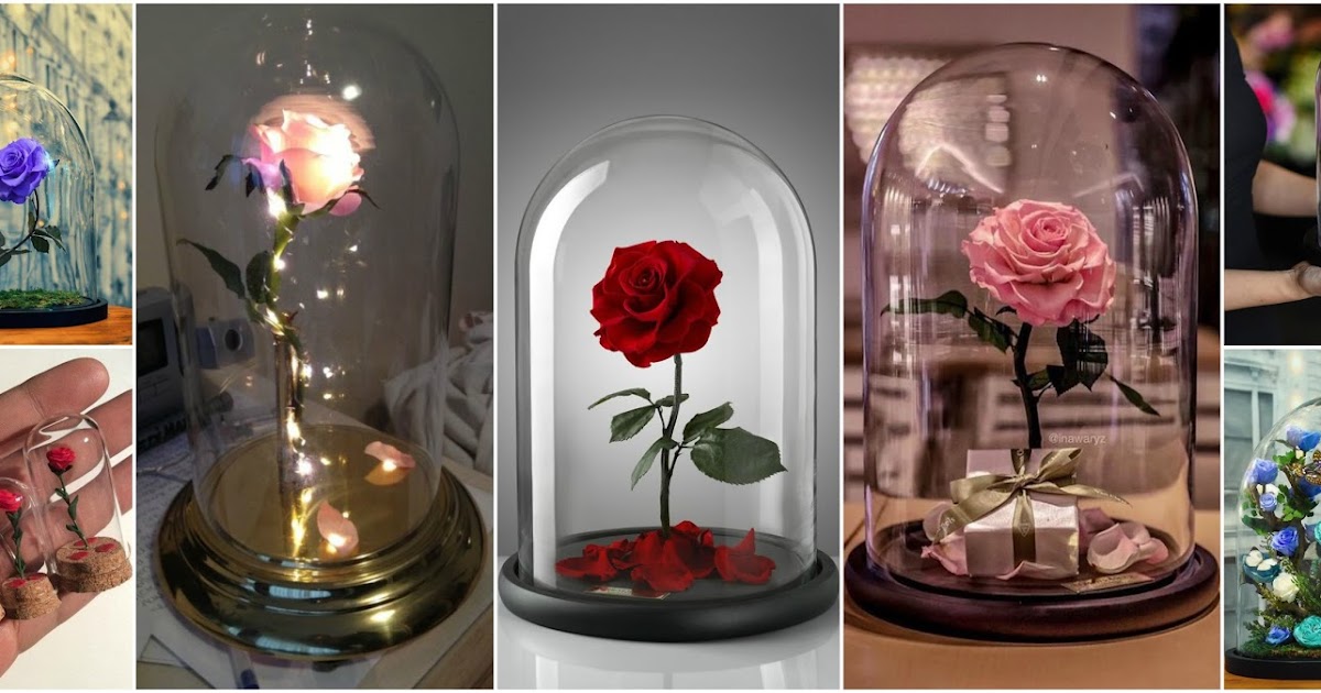 Regala una rosa hecha a mano para este 14 de febrero o día de la madre ...