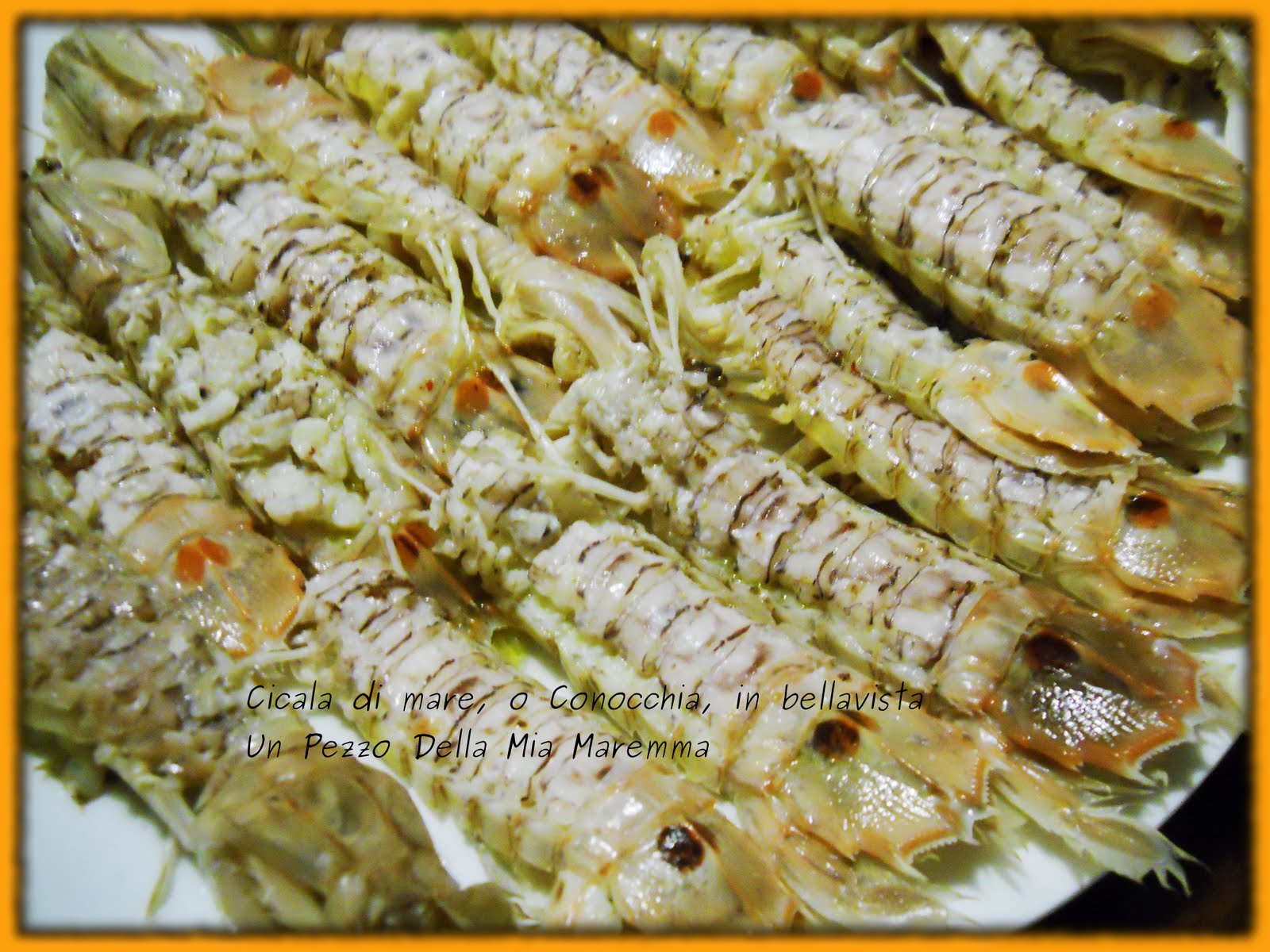 Cicale di mare o canocchie in bellavista - Un pezzo della mia Maremma