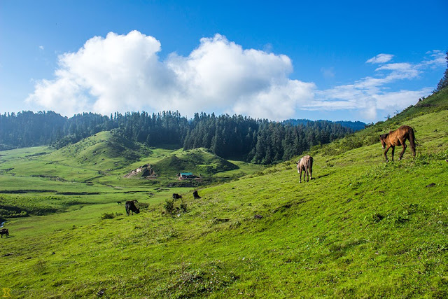 Wow ! Khaptad (Photo feature)