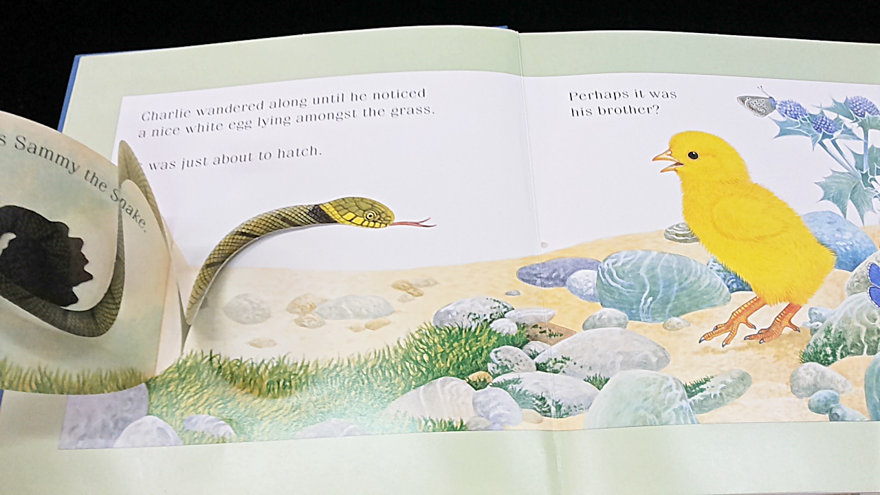 Kid Books Blog: 14.An Adventure with Charlie Chick