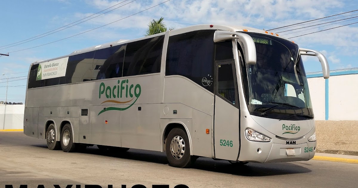 MAXIBUSES: TRANSPORTES DEL PACIFICO