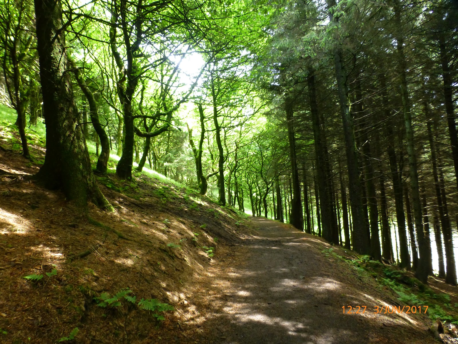Harris Hikers: Tegg's Nose and Macclesfield Forest 3rd June 2017