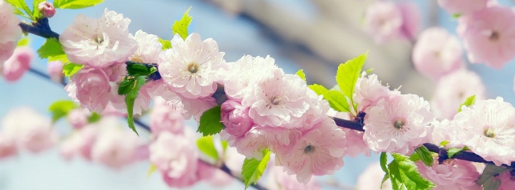 Love and LOvers Dairy (made by Sameer ): cute facebook cover page image