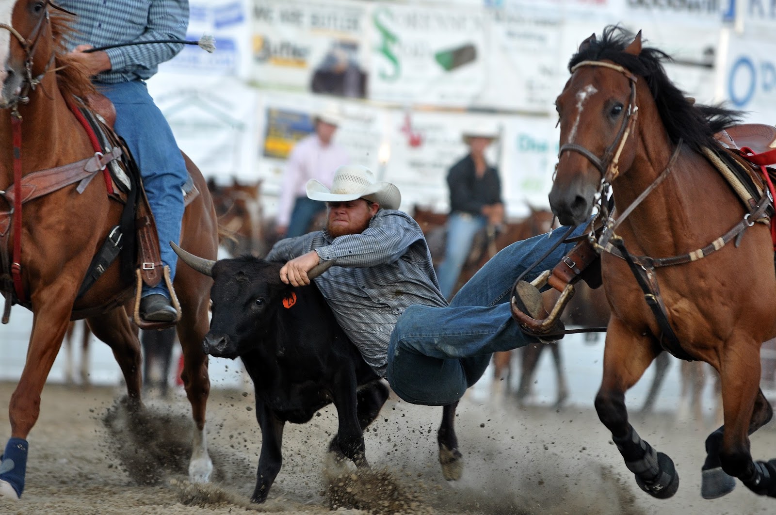 Mark Chitwood Photography: Washington County Fair