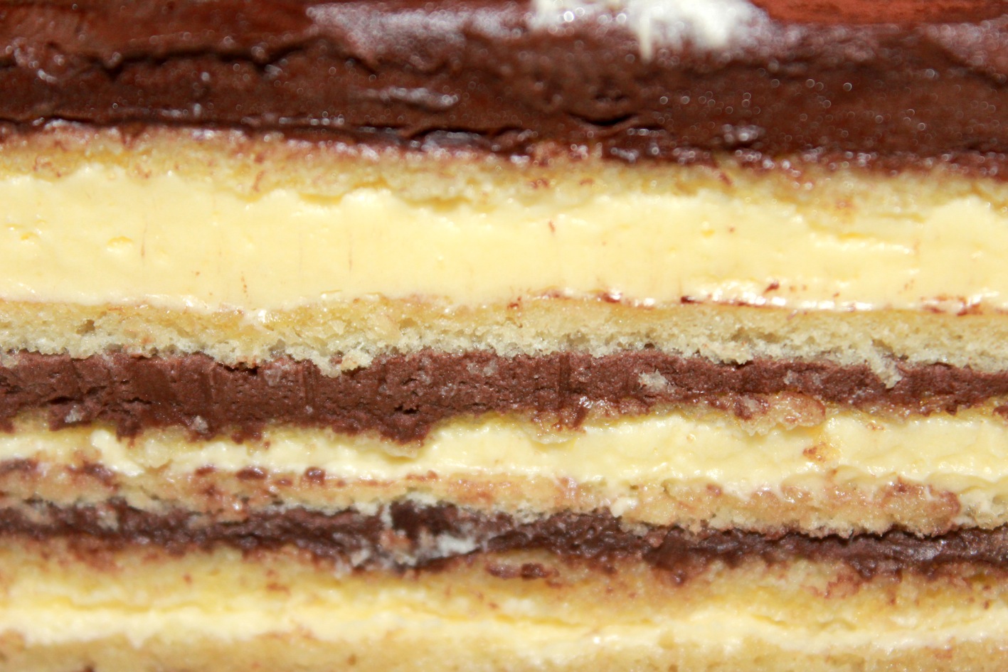 Vien's One Life!: Opera Cake