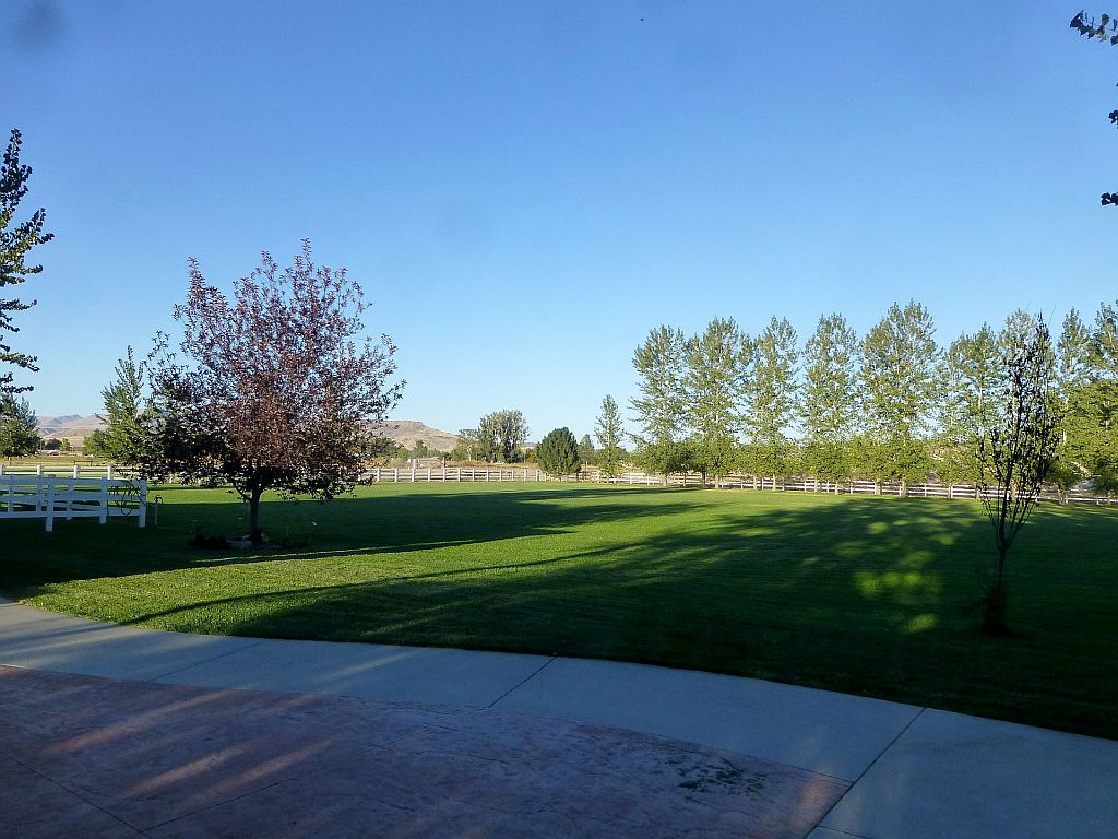 Lowe's Flat Fee Realty: Nearly 3 Acres Fully Fenced Yard