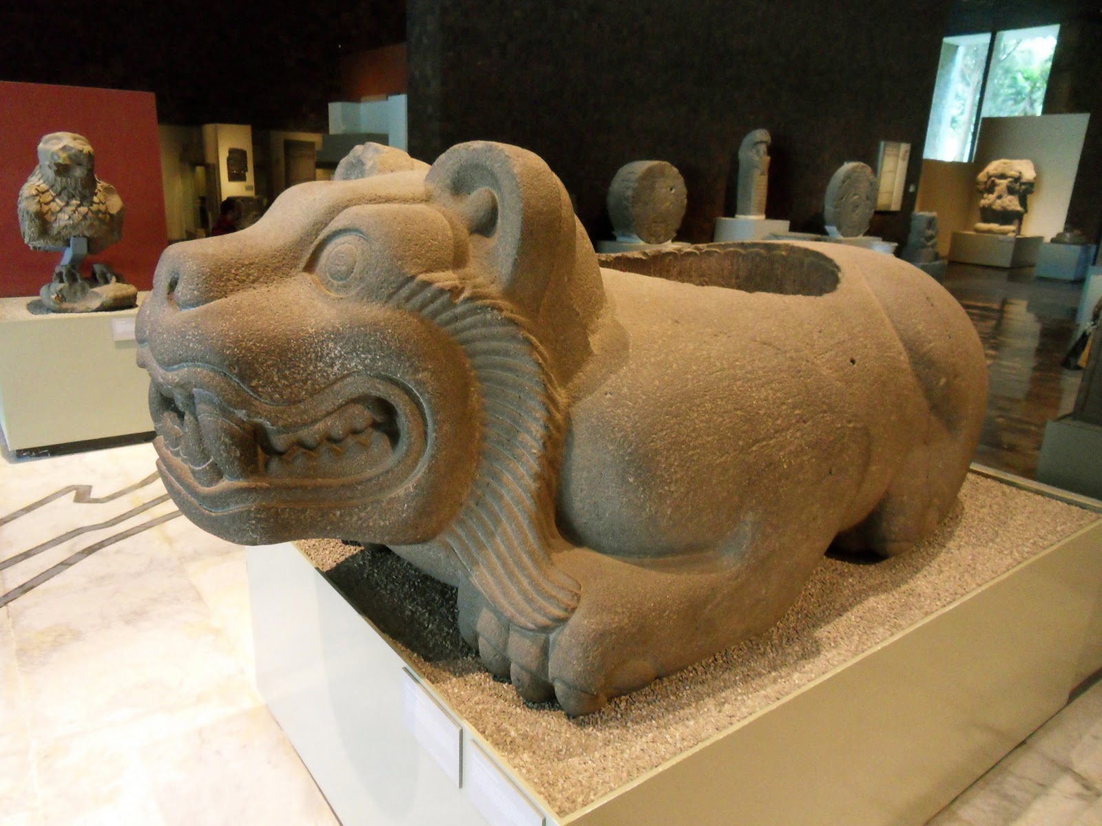 Sígueme…: Cuauhxicalli