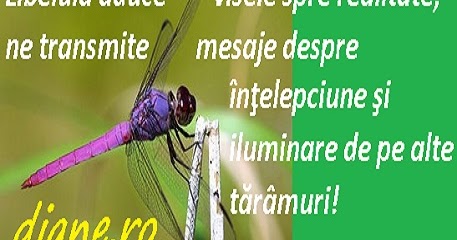 Libelula: Simbol, superstiţii, legende - diane.ro
