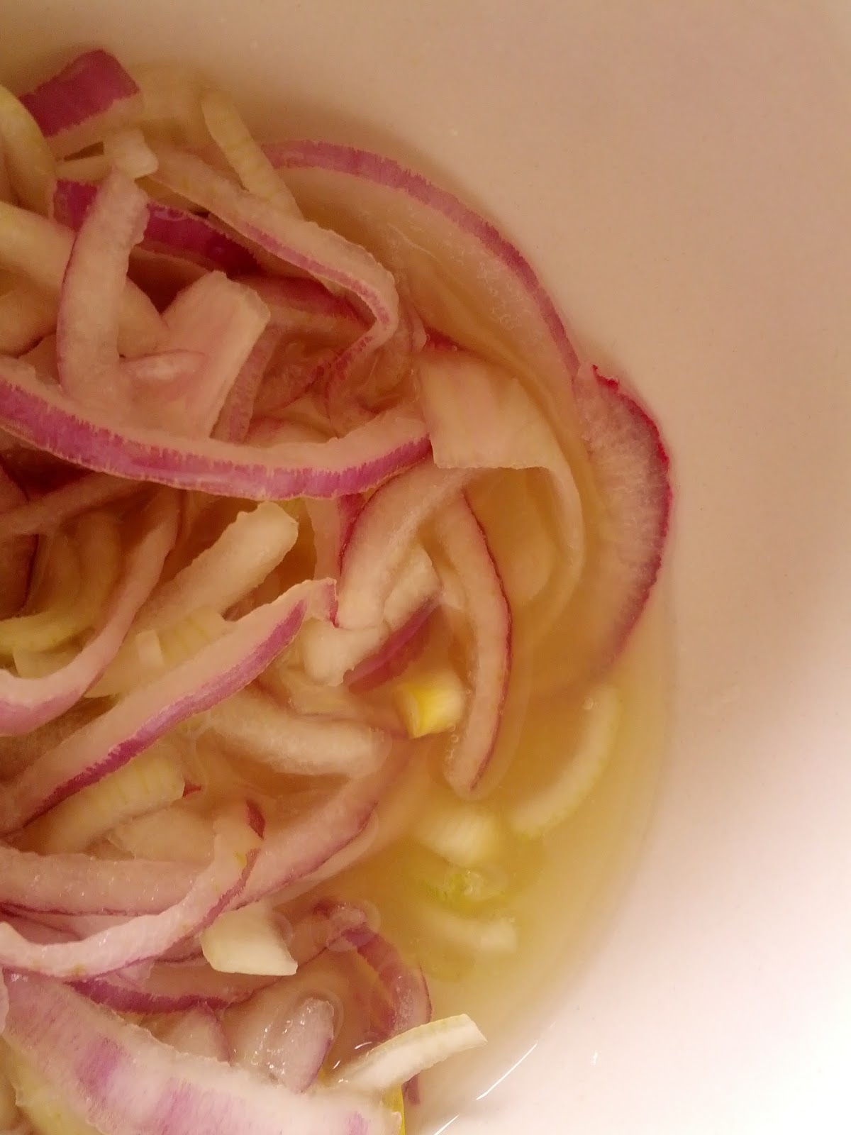 Gastrolamas: Cómo encurtir cebolla