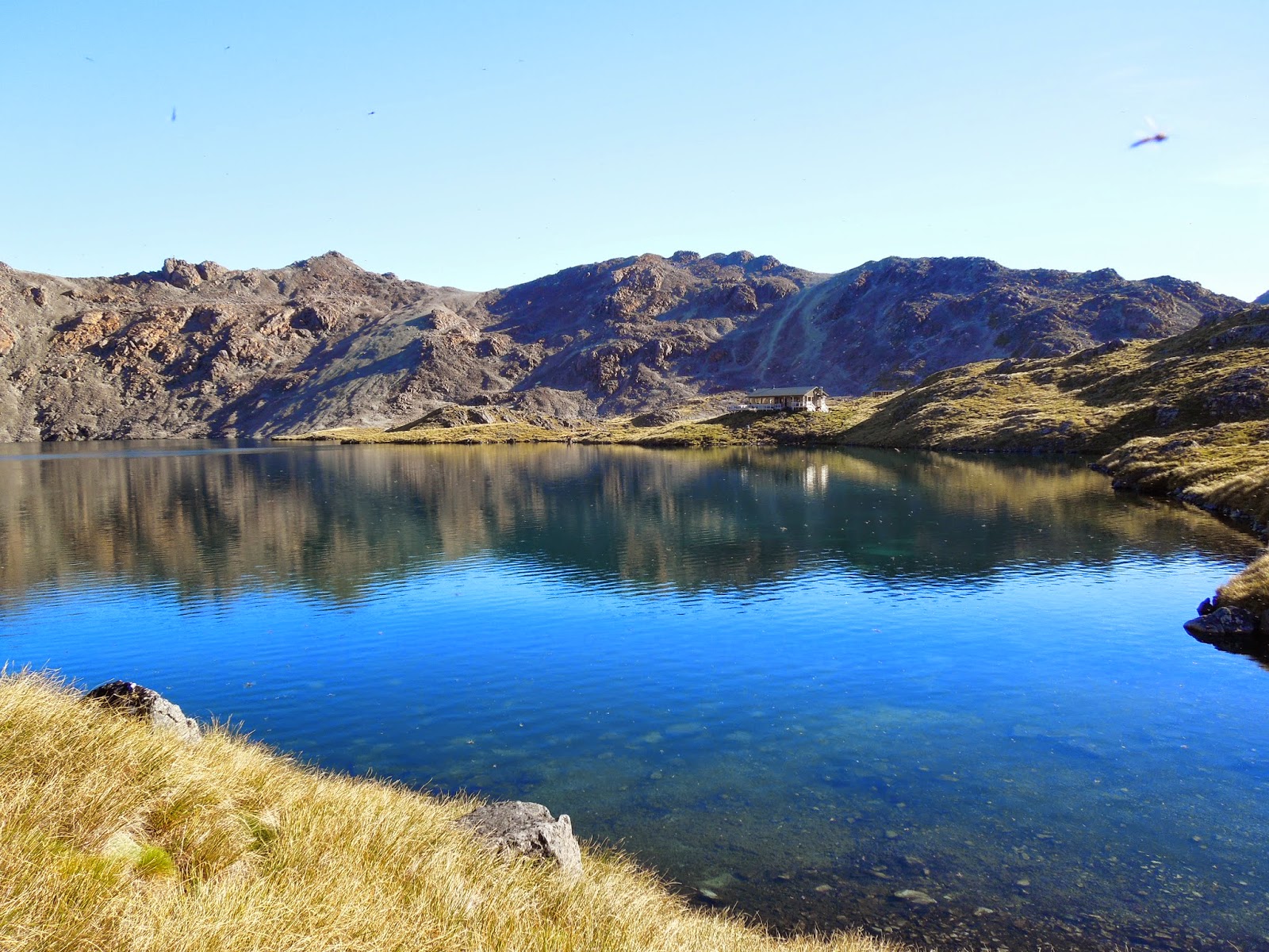 A Welcome Sight: Hopeless Creek and Lake Angelus, Nelson lakes National ...