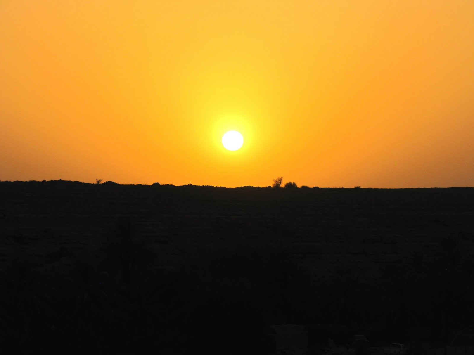 Architecture and Images: Pinoy Life in Saudi Arabia,Kamsa-kamsa, Riyadh