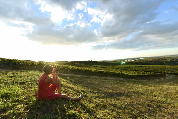 WineJour: Vinarija Fruškogorski vinogradi, Banoštor, Fruška gora ...