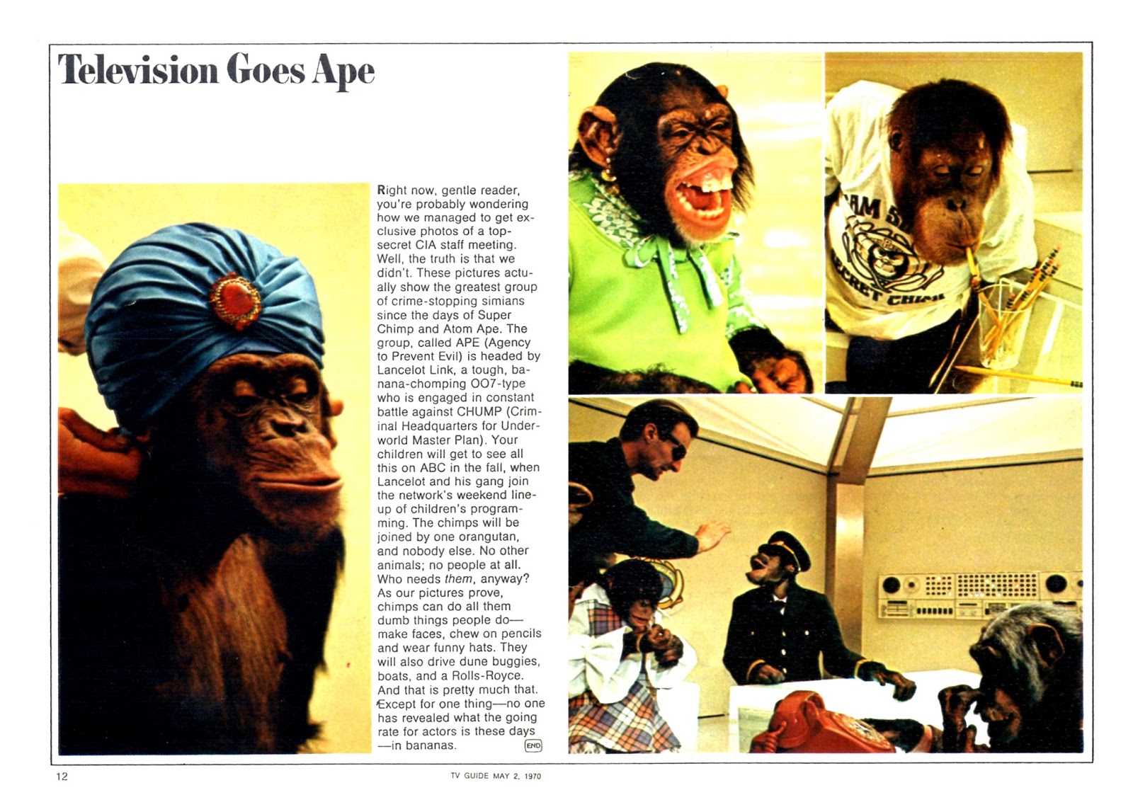 Lansure's Music Paraphernalia: LANCELOT LINK SECRET CHIMP | Memorabilia