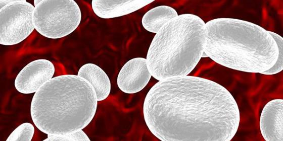 SyM Clínica Ocupacional y Asistencial S.A.C: Alteraciones de los ...