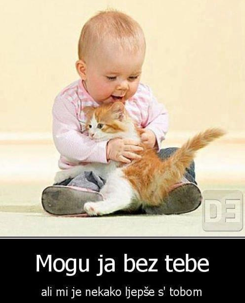 Najgluplje glupe smiješne stvari izreke anegdote aforizmi izjave i ...