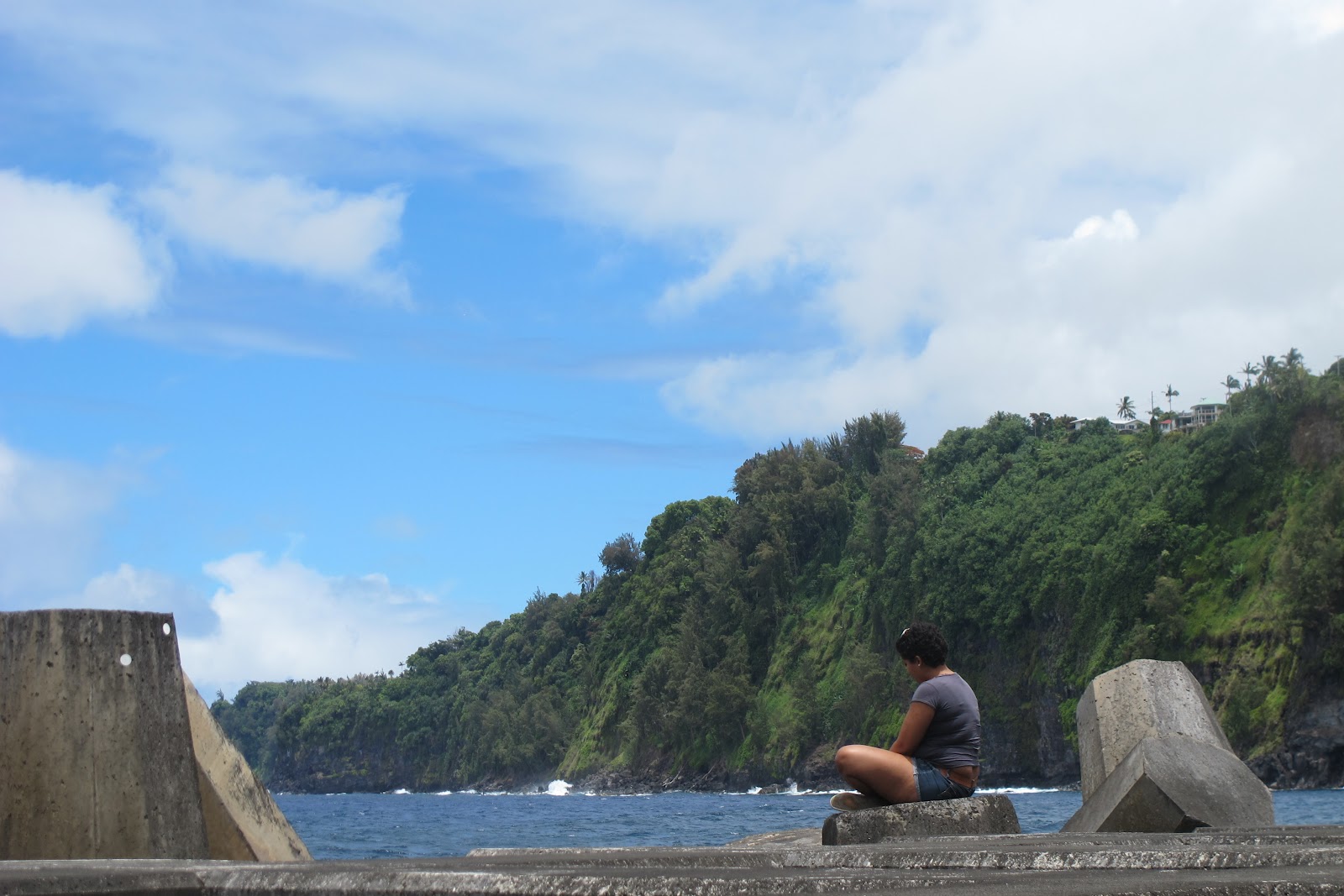 Summers in Honomu