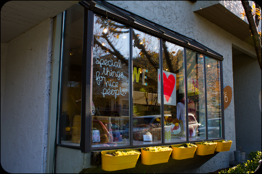 Across the Border: North Van Is Where It's At! Lynn Valley & Deep Cove