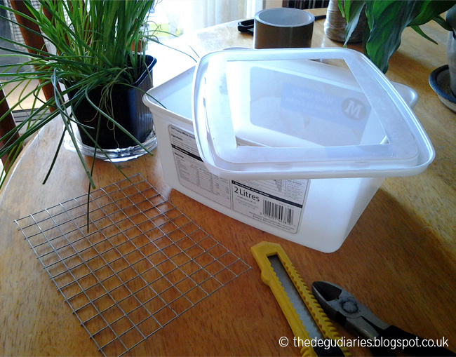 How to Make a Fresh Herb Degu Eatery