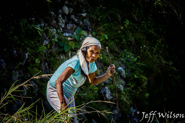 ...and we're gone: Buscalan, Whang-Od, Kalinga, Butbut Tribe