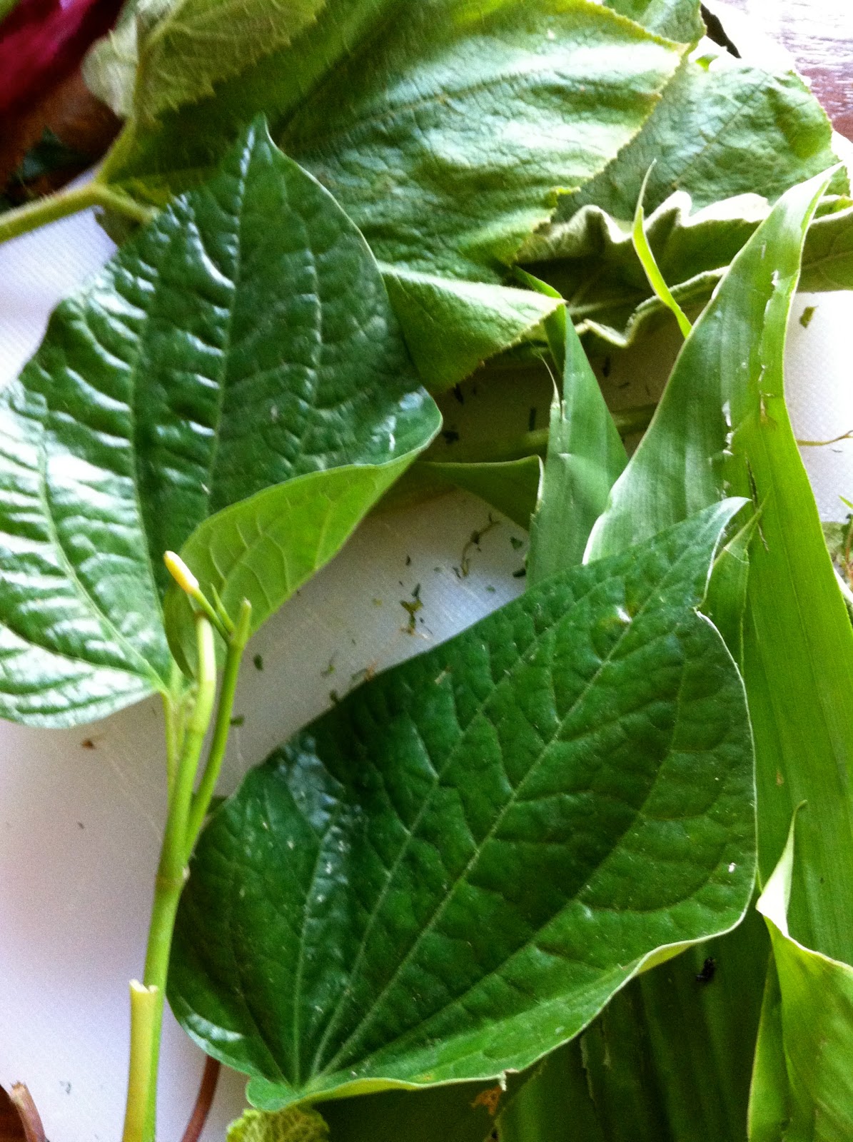 We Tell Sweet Stories: Food Story:) As always:):)