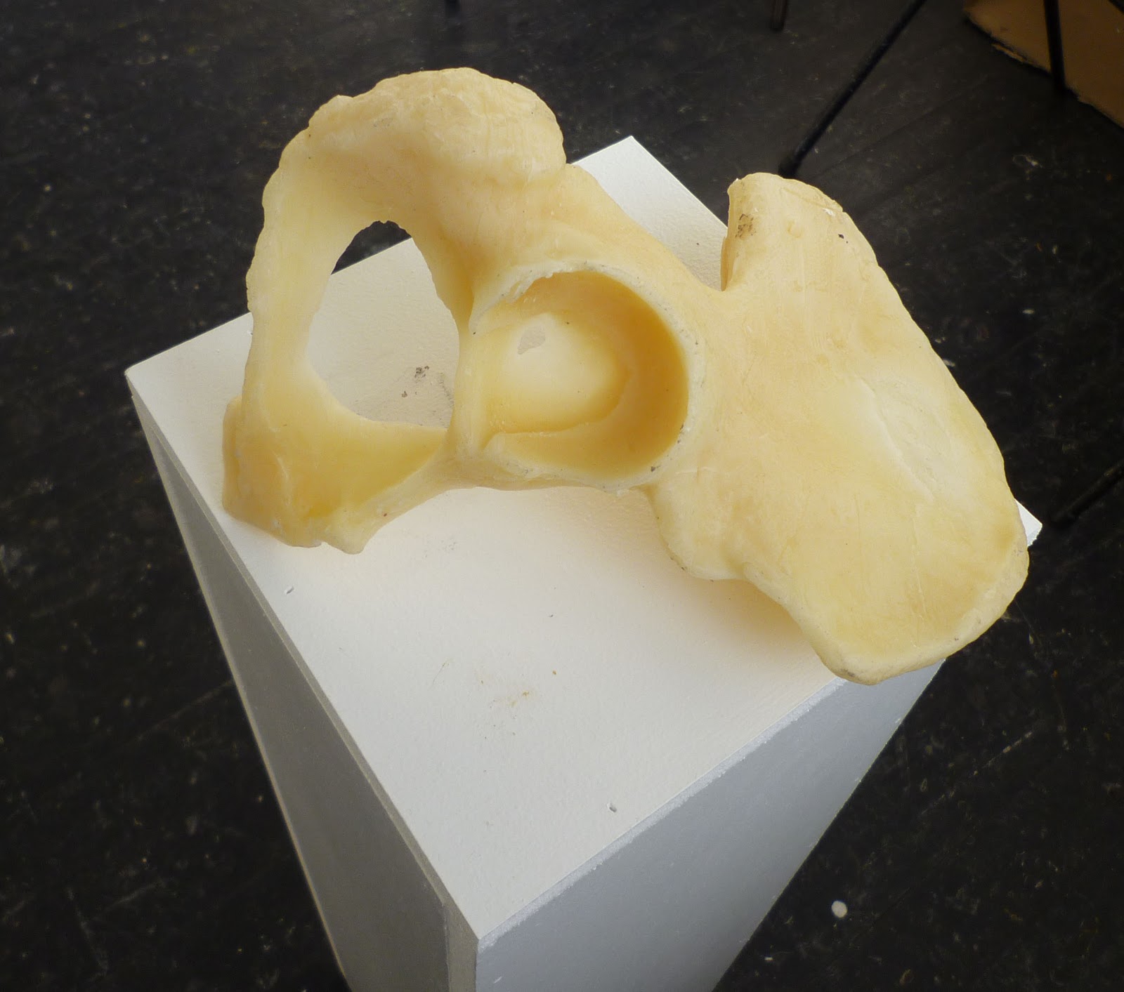 Sue Beveridge's Blog