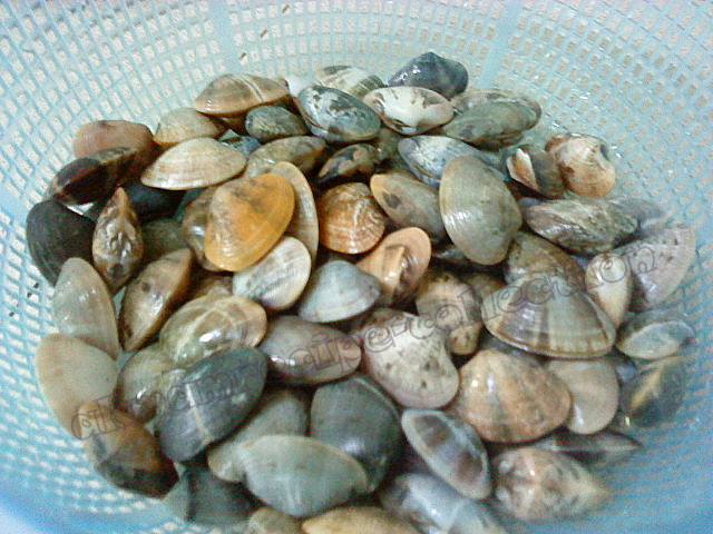 AKMAM'sRecipe COLLECTION: Remis (kepah kecik)