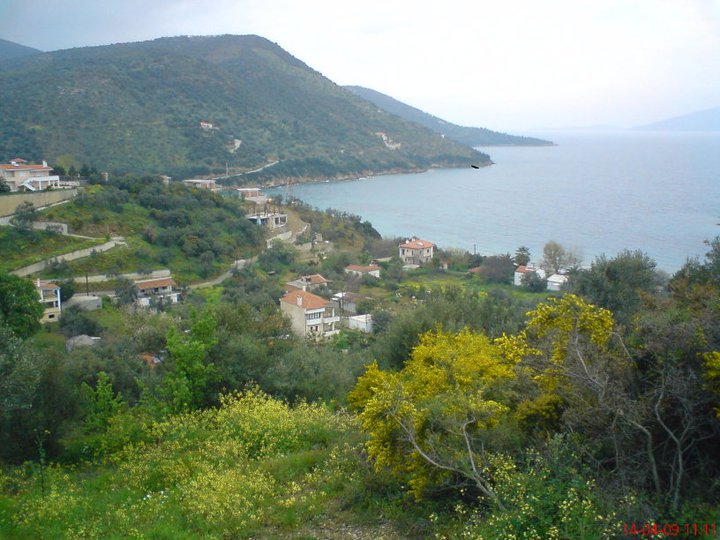 ΑΓΙΑ ΜΑΡΙΝΑ ΠΤΕΛΕΟΥ ΜΑΓΝΗΣΙΑΣ
